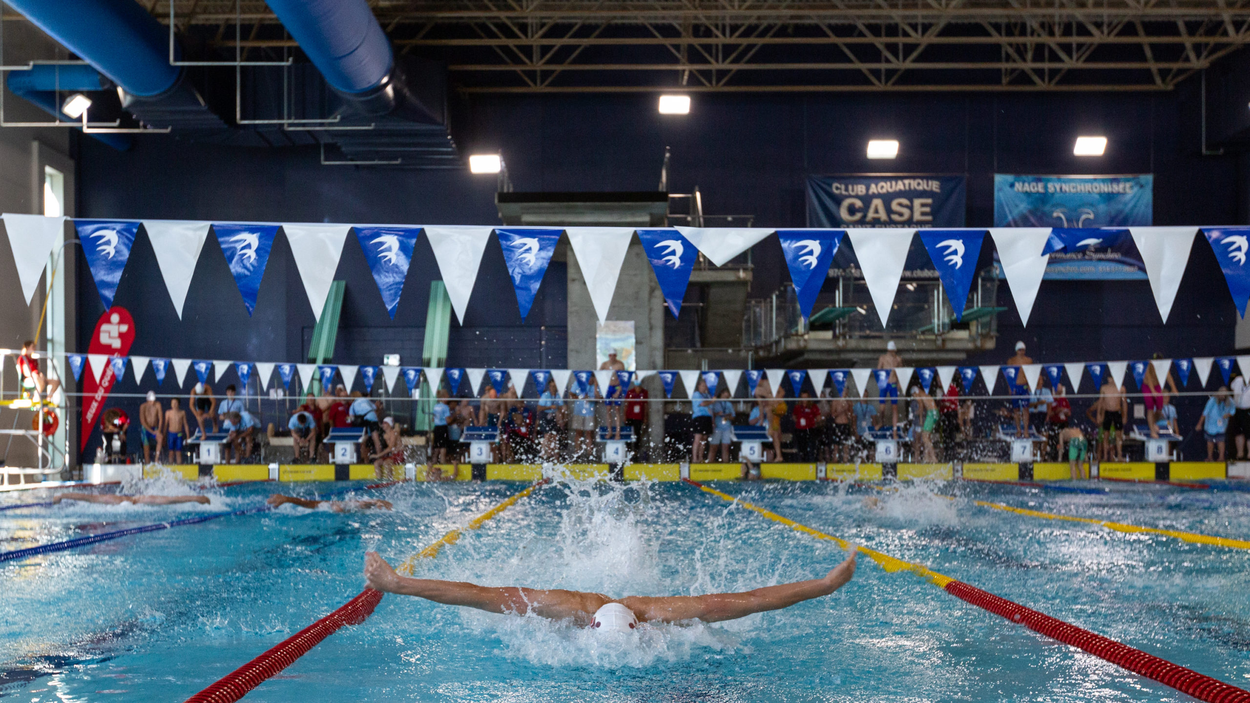 Natation | Jeux du Québec Trois-Rivières 2025